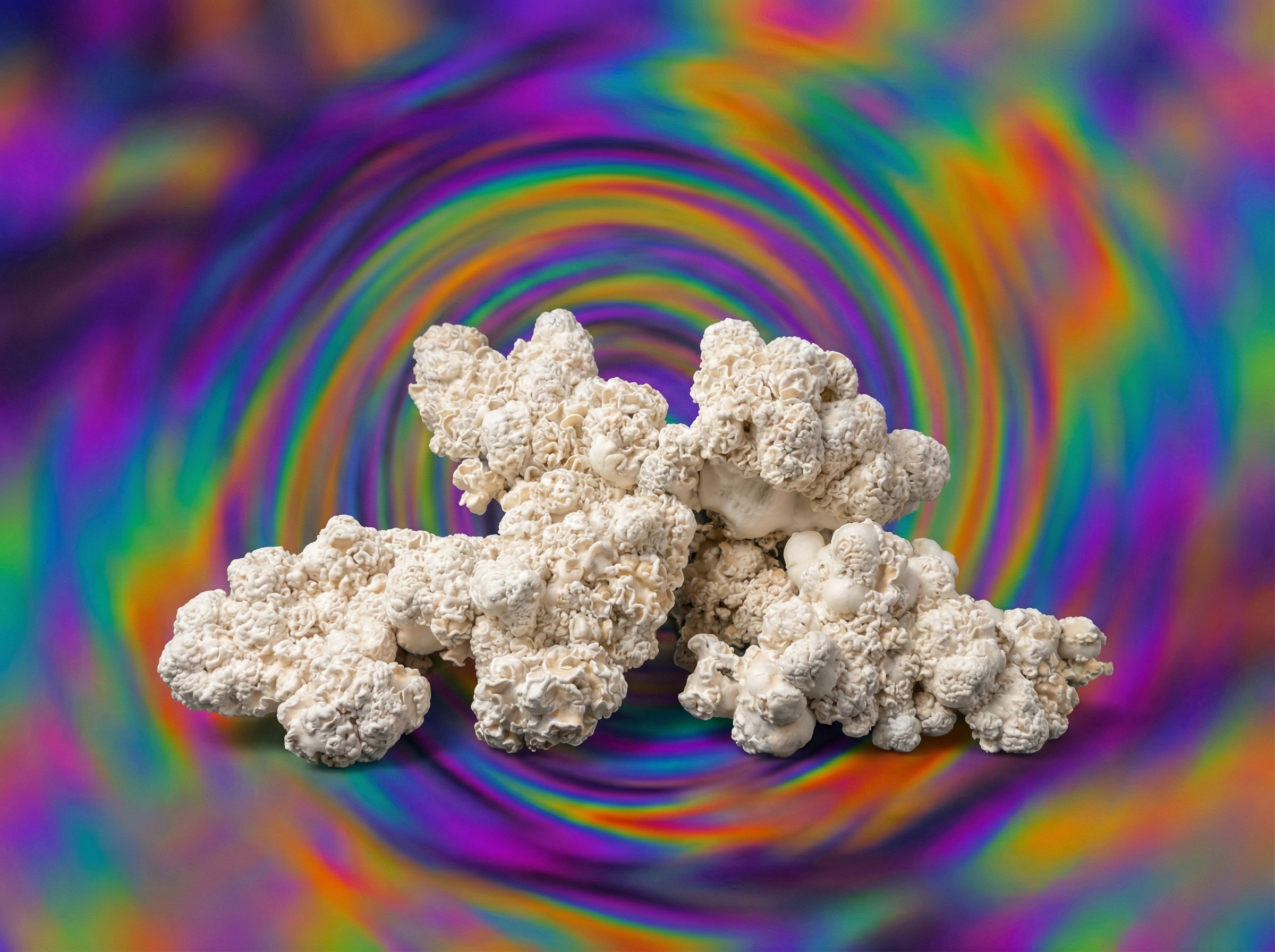 Liquid Myco | Magic Mushroom Liquid Cultures & Spores